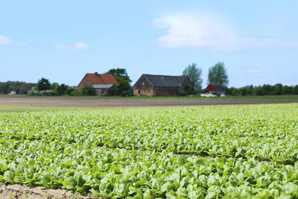 Om BAMA Nordic - Bama